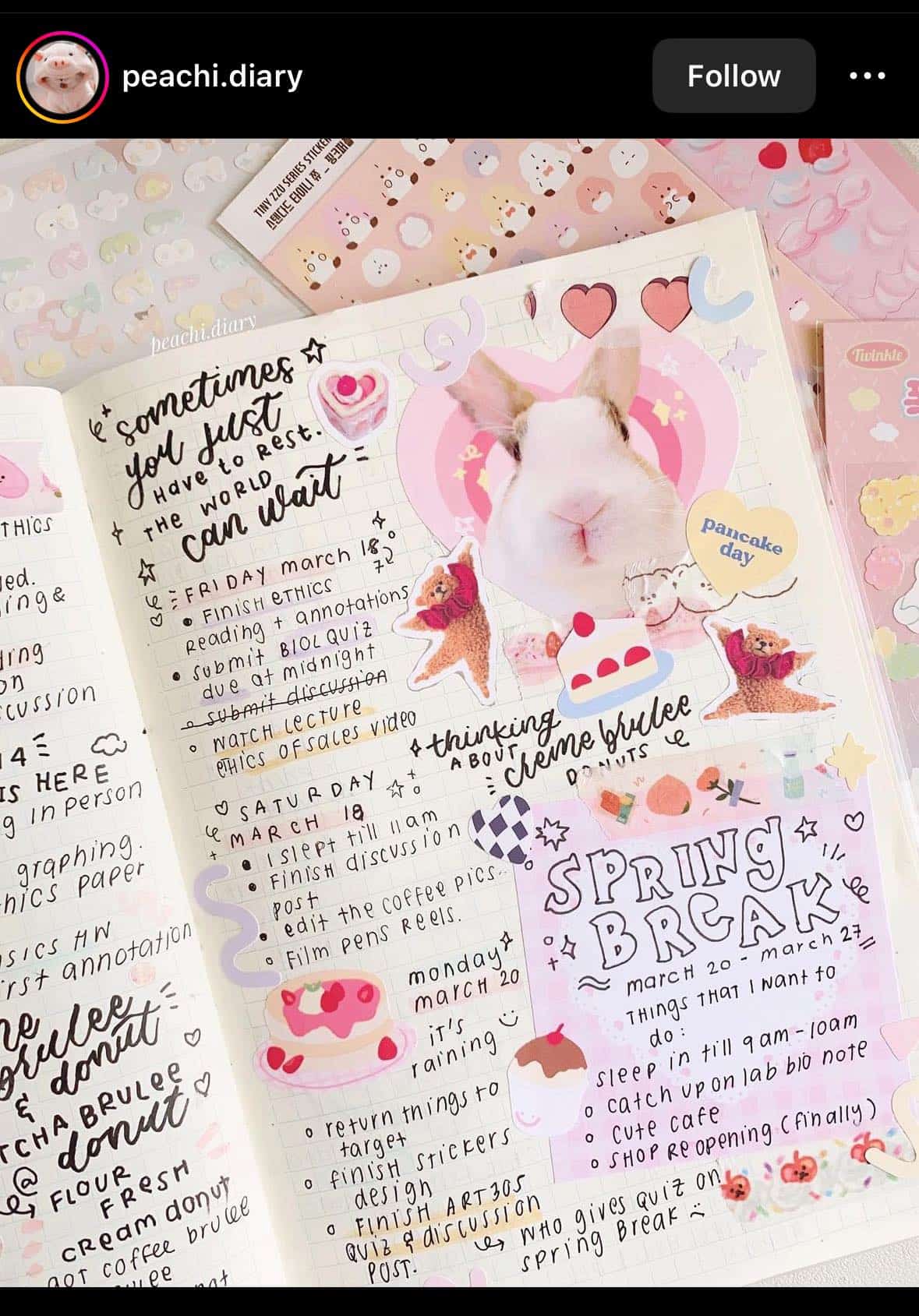 15 Inspiring Bullet Journal Spreads to Make Every Day Brighter - Angela ...